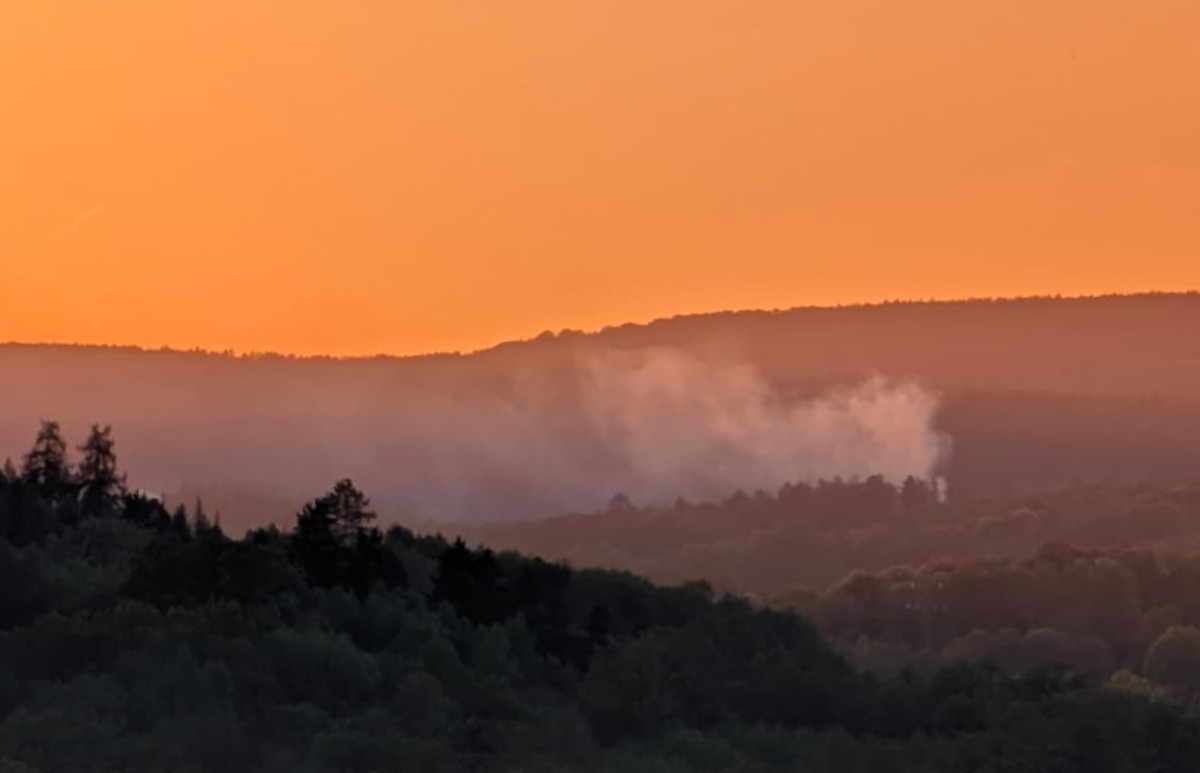 Waldbrand in der Hexennacht: 160 Feuerwehrleute im Einsatz ...
